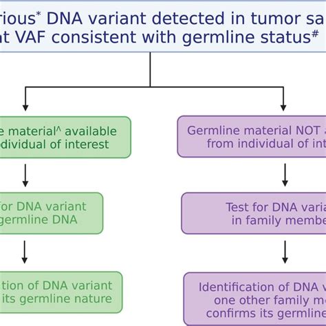 Algorithm For Testing The Germline Nature Of A Dna Variant Identified Download Scientific