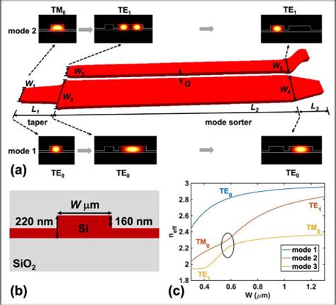 A Schematic Of The Polarization Splitter Rotator Psr Profiles Of Download Scientific