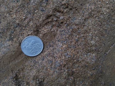 A The Pyroclastic Outcrop Fall Lapilli Tuff In The Nagasari 3 Unit Download Scientific Diagram