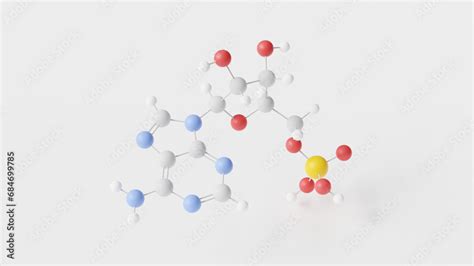Adenosine Monophosphate Molecule 3d Molecular Structure Ball And Stick Model Structural