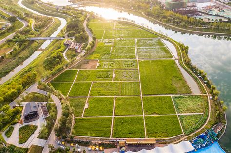 Daoxiangyuan Changan Park China By Shanghai Chidi Studio6 1700