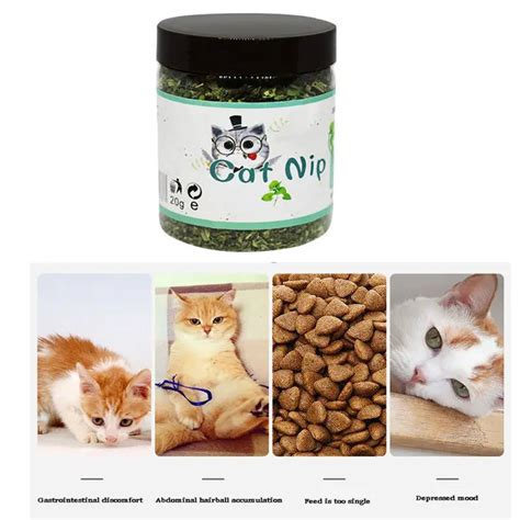 Catnip Select Catnip 20g Cat Grass Cat Food Cat Snack Clean Oral Spit