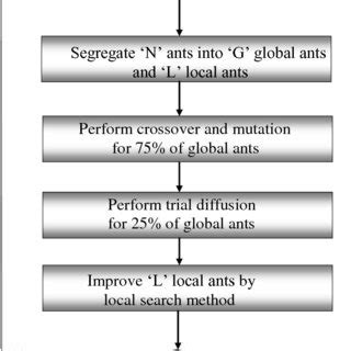 Flowchart For The Proposed Ant Colony Algorithm Download Scientific Diagram