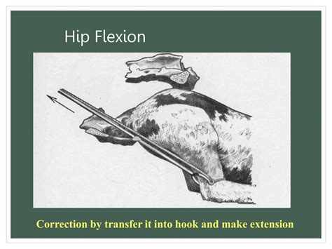 Dystocia In Cattle Sheep And Goatpptx