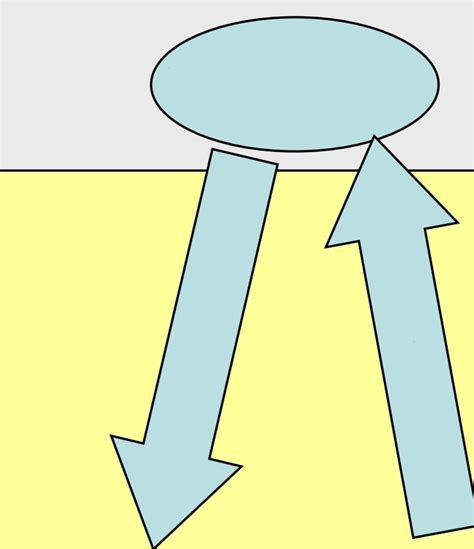 Neurons Diagram Quizlet
