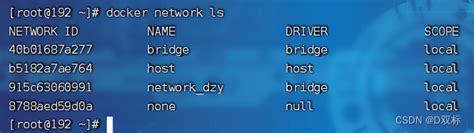 给docker配置指定ip docker ip csdn博客