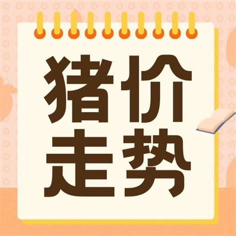 正大猪博士