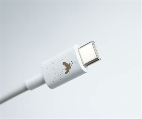 This Is How To Clean Your USB C Port Macally Blog