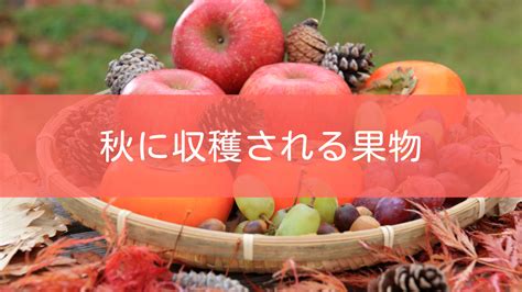 【秋に収穫できる果物一覧】食べ方、保存について Yasai To Kajitsu