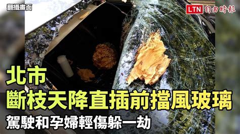 幸運！ 北市斷落樹枝從天降直插前擋風玻璃 駕駛和孕婦輕傷躲一劫警方提供翻攝畫面 Youtube