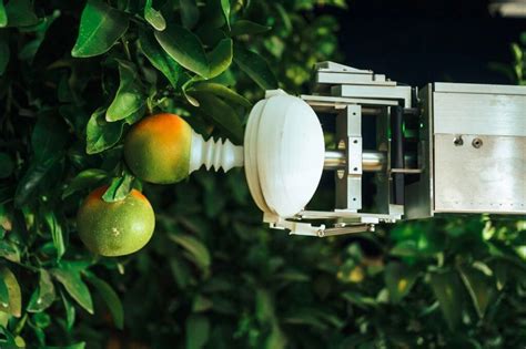 Nocamels Israeli Tech And Innovation News On Linkedin