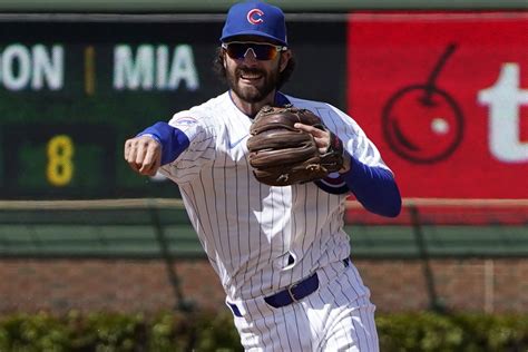 Cubs Roster Moves Dansby Swanson Activated Luis Vazquez Called Up