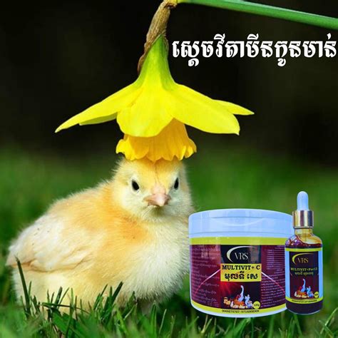 នាថ្ងៃទី១៨ ខែកក្កដា ឆ្នាំ២០២៥ កសិកម្មឃុំរហាត់ទឹក Facebook