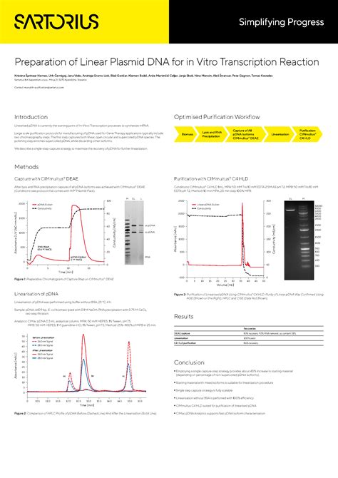 Preparation Of Linear Plasmid Dna For In Vitro Transcription Reaction