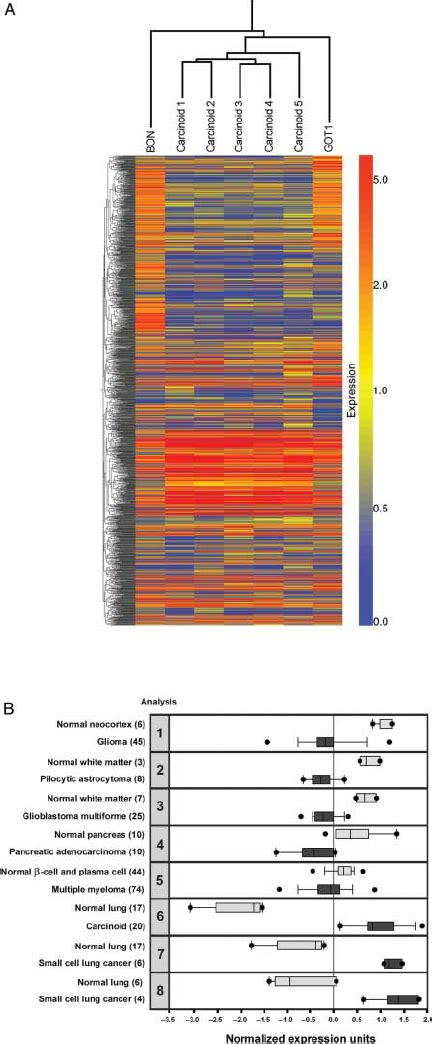 Global Gene Expression Analysis A Hierarchical Clustering Of