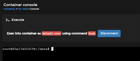 Cómo instalar y utilizar Portainer para la gestión de Docker con Nginx Proxy Manager HowtoForge