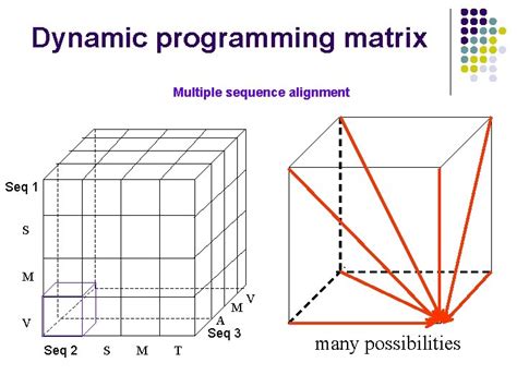 Cot 6930 Hpc And Bioinformatics Multiple Sequence Alignment