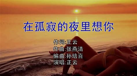 在孤寂的夜里想你 正云 主唱 Karaoke Youtube