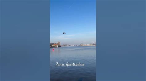 Amsterdam Zanse Youtube