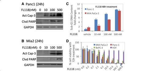 Induction Of Apoptosis Pancreatic Cancer Cell Killing And Cell
