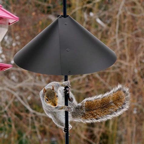 Wrap Around Squirrel Baffle14 Inch Foldable Squirrel Guard Baffles