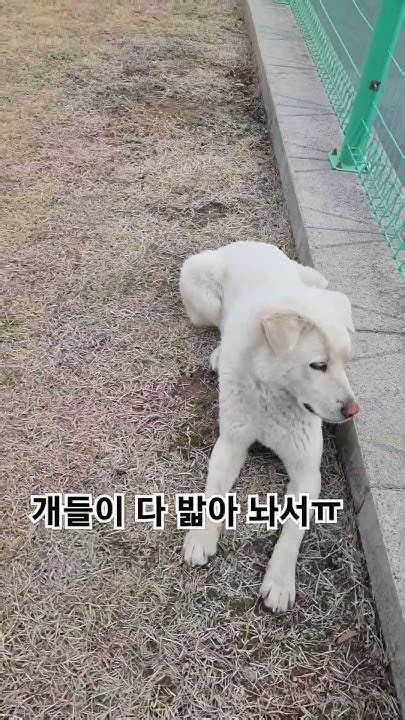 올해는 뭘 심을까 ~ Youtube