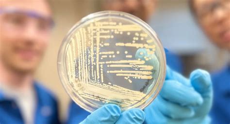 New Synthetic Compound Can Kill Superbugs Resistant To Antibiotics