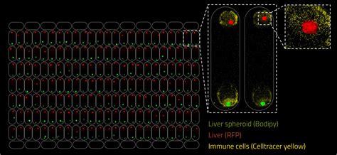 Akura™ Twin Microplate Insphero