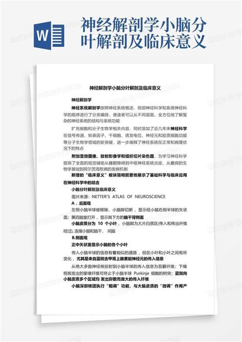 神经解剖学小脑分叶解剖及临床意义 Word模板下载编号lejnrgvn熊猫办公