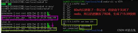 【rdb持久化】redis之rdb配置与自动触发演示redis 触发 Csdn博客