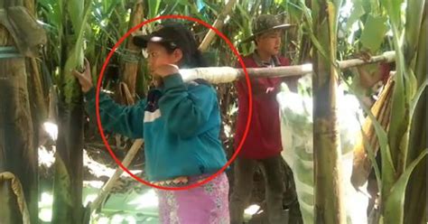 看看真正越南女人，她们真实生活什么样？看完才明白难怪想嫁中国越南姑娘苦工新浪新闻