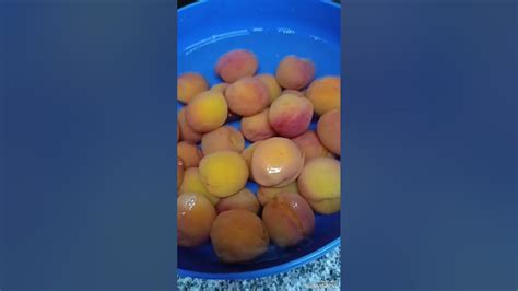 احلى عصير راني خوخ بالحبيبات 😂😂 Youtube