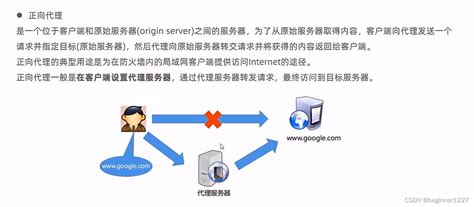nginx的入门与简单应用 nginx profile csdn博客