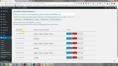 Lesson 2 5 Updating Plugins And Theme Dieno Digital Marketing Services