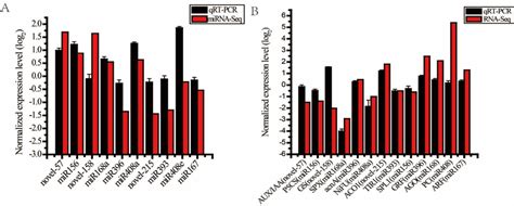 The Qrt Pcr Validation Of The Expression Of Mirnas And Its Candidate