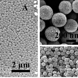 Figure S2 SEM Images Of The Fe 3 O 4 SiO 2 And Fe 3 O 4 SiO 2 TiO 2 Download Scientific