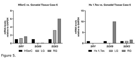 Cytogenetic And Molecular Characterization In Gonadal Tissue Of