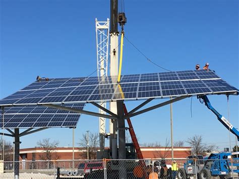 Solar Trees Quantum Crossings