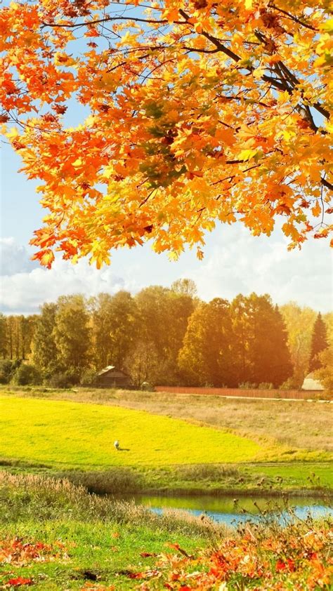 Pin By Chanel Aprahamian On Anime Wallpapers Nature Wallpaper