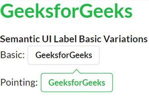 Semantic UI Label Basic Variations GeeksforGeeks