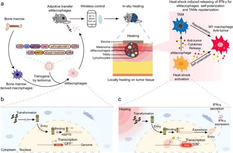 👩🏻‍🔬 Starting The Week Sharing This Exciting Approach Lara Campana