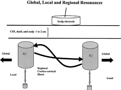 Re Entrant Loops That Are Proposed To Give Rise To Regional Resonances Download Scientific