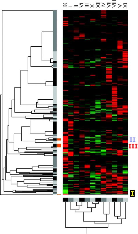 Single Cell Microarray Analysis In Hippocampus Ca1 Demonstration And