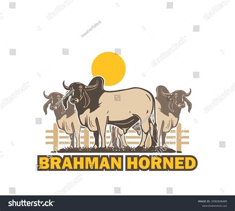 Brahman Cattle Logo Silhouette Of Great Bull Royalty Free Stock