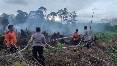 1 5 Hektare Lahan Milik Warga Terbakar Di Aceh Barat