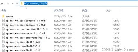 Java环境搭建指南 Csdn博客