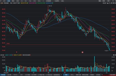 万华化学600309股价走势财务报表k线图买入持有卖出分析预测 2023127