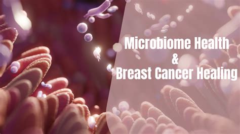 Emerging Research Your Breast Microbiome And Breast Cancer