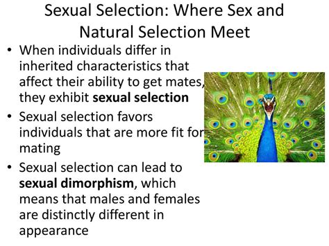 Evolution Of Populations Ppt Download