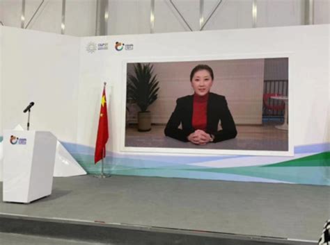 讲好中国碳普惠故事 碳减排数字账本 中国发展网